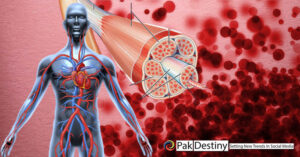 Delivery of Oxygen from the Blood to the Muscles and Organs - PakDestiny